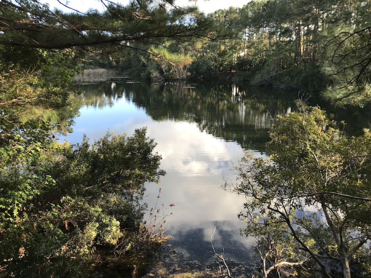 I’On – It’s a way of life, not just a place to call home